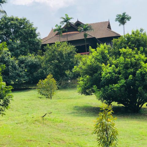 Looking for team building venue in Janda Baik? Why not consider Carpe ...