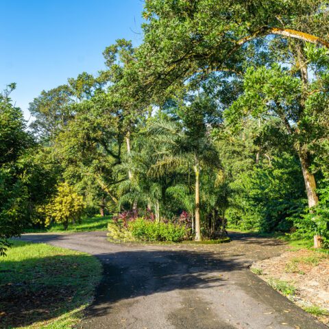 Looking for team building venue in Janda Baik? Why not consider Carpe ...