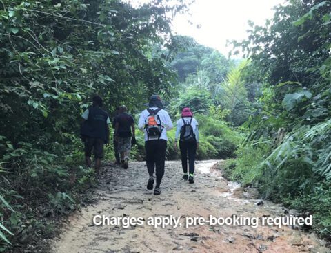 Recommended team building activities in Serendah, Selangor. Carpe Diem ...